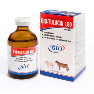 Phòng trị hiệu quả bệnh hô hấp ở lợn - Chăn nuôi Việt Nam