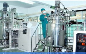 Công ty NAVETCO tuyển dụng nhân sự - Chăn nuôi Việt Nam