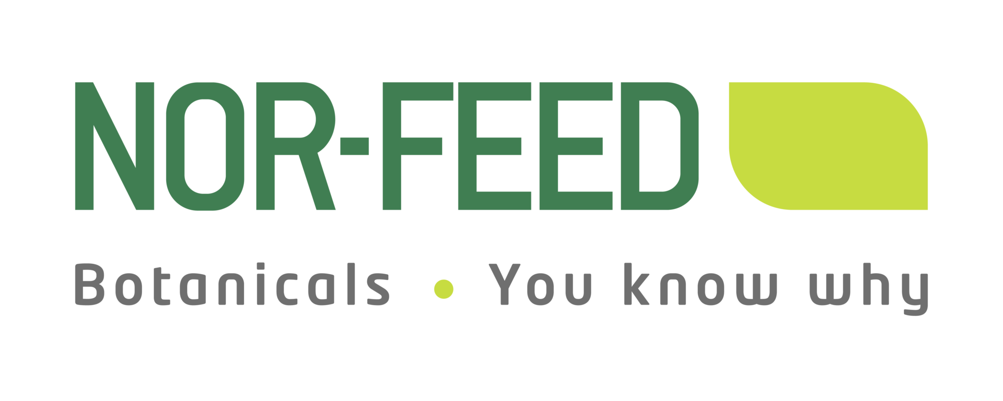 Nor-Feed vững bước phát triển cùng Adisseo - Chăn nuôi Việt Nam