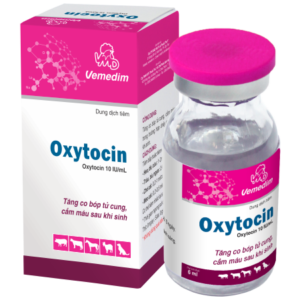 Hiện tượng đẻ khó ở lợn và biện pháp can thiệp - Chăn nuôi Việt Nam