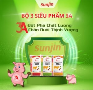 Sunjin Vina ra mắt sản phẩm mới: Cùng 3A – Đột phá chất lượng, chăn ...