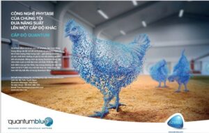 Công nghệ phytase của chúng tôi đưa năng suất lên cấp độ khác: Cấp độ ...