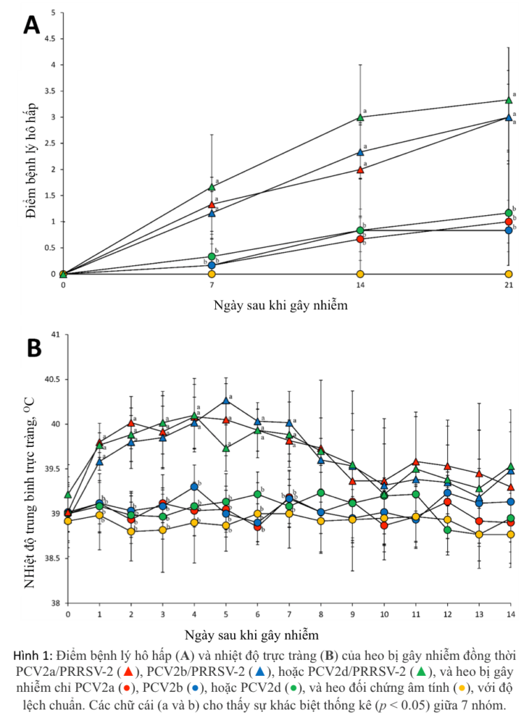 So sánh độc lực của ba kiểu gen Circovirus type 2 (PCV2) ở heo (a, b và d) khi gây nhiễm đơn lẻ ...
