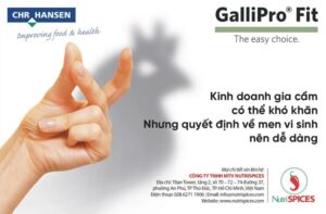 Ba chủng GALLIPRO® Fit Bacillus giúp giảm thiểu việc sử dụng kháng sinh ...