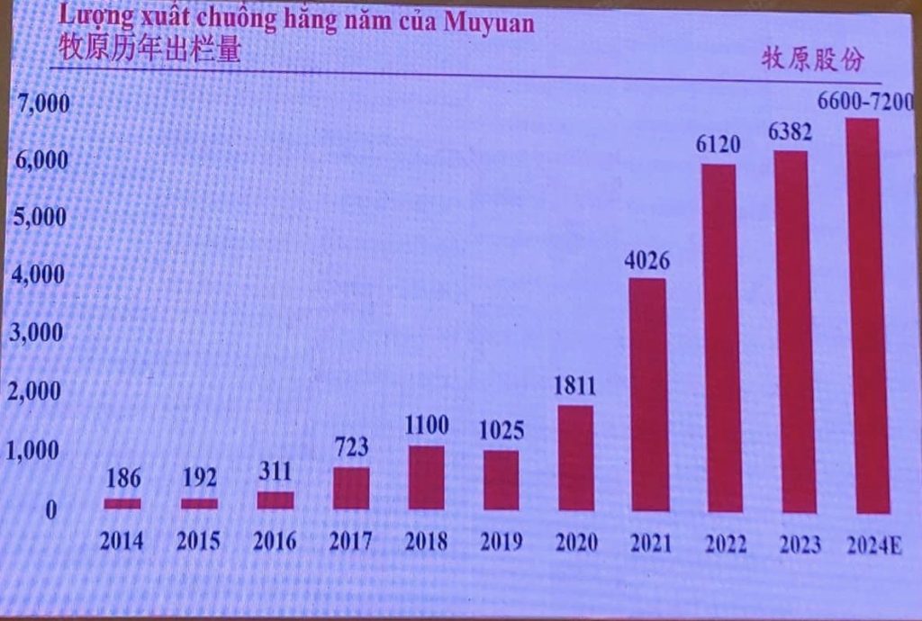 An toàn sinh học phòng dịch tả heo châu Phi (ASF): Giải pháp từ Muyuan ...