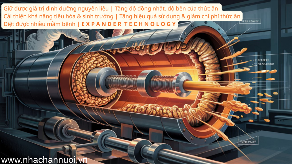 Hiệu quả và tiềm năng ứng dụng công nghệ expander trong sản xuất thức ...
