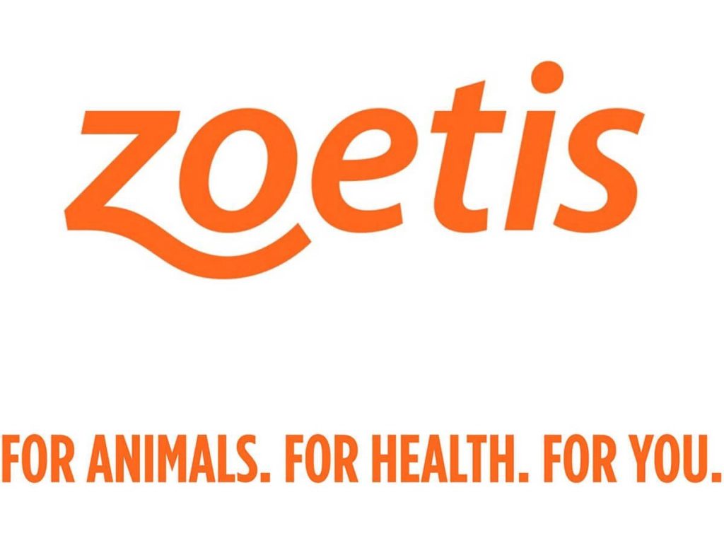 Zoetis và Megavet ra mắt Synovex®S: Bước đột phá nâng cao năng suất bò ...