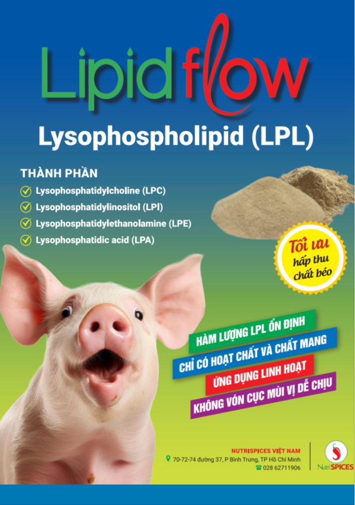 Lipid Flow Lysophospholipid (LPL) - Chăn nuôi Việt Nam